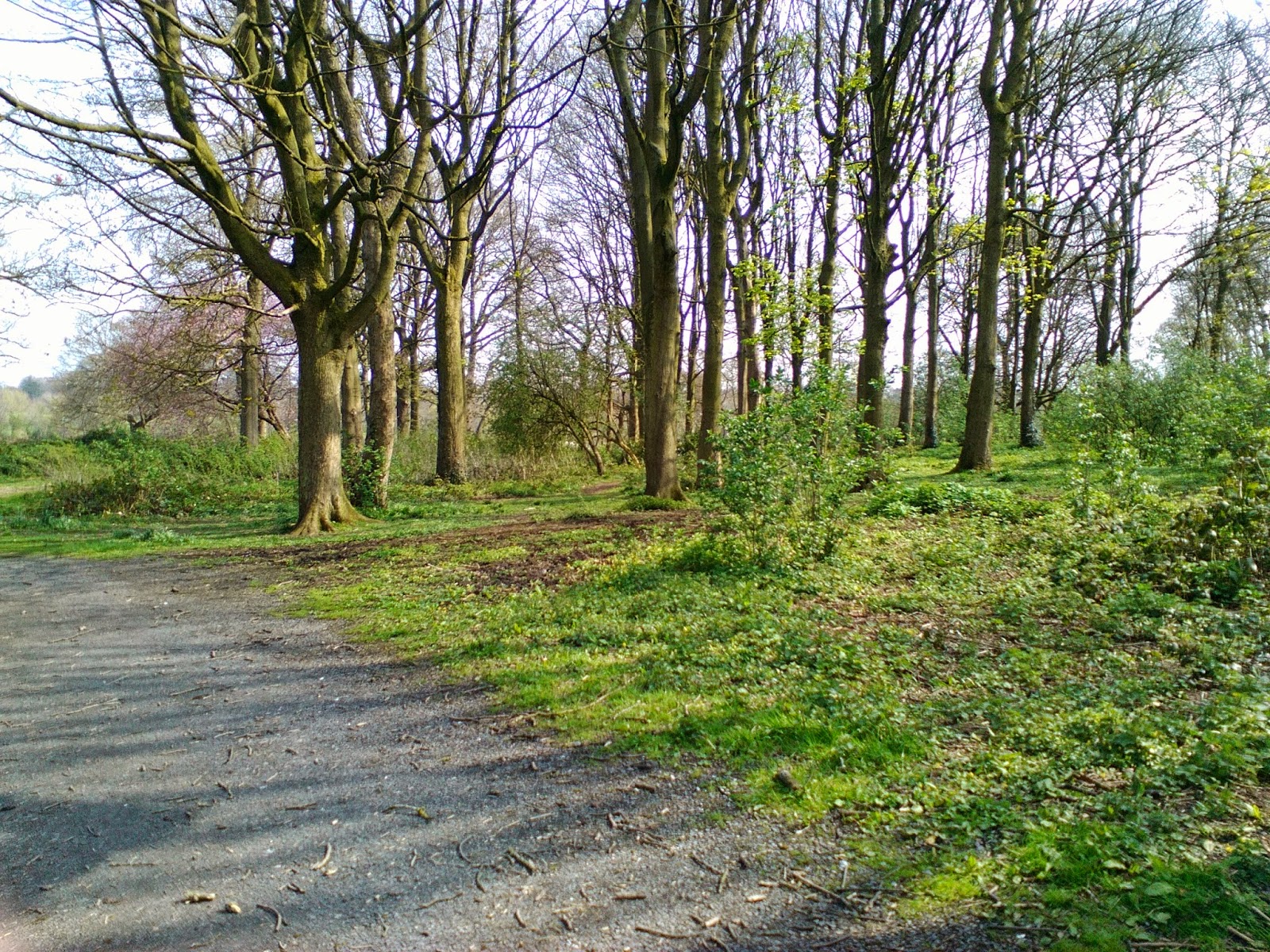 The History of Lurgan: Lurgan Park Pictures